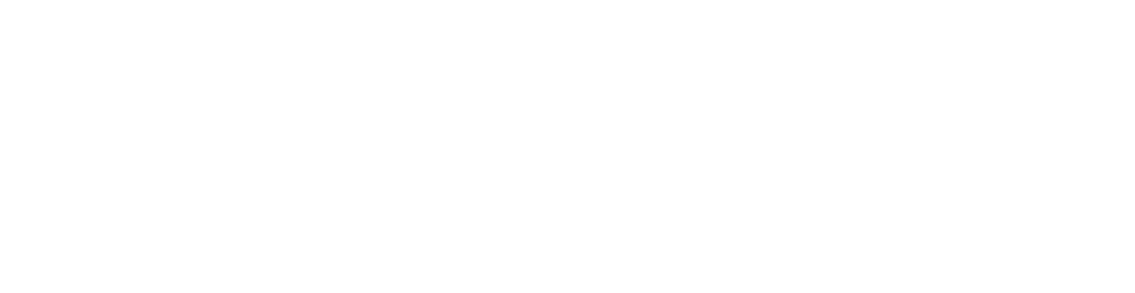 Dunedin Star - Siem Shipping